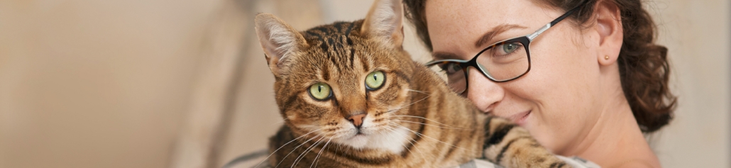Resources for Cat Parents | Cat Arthritis Resources & Education